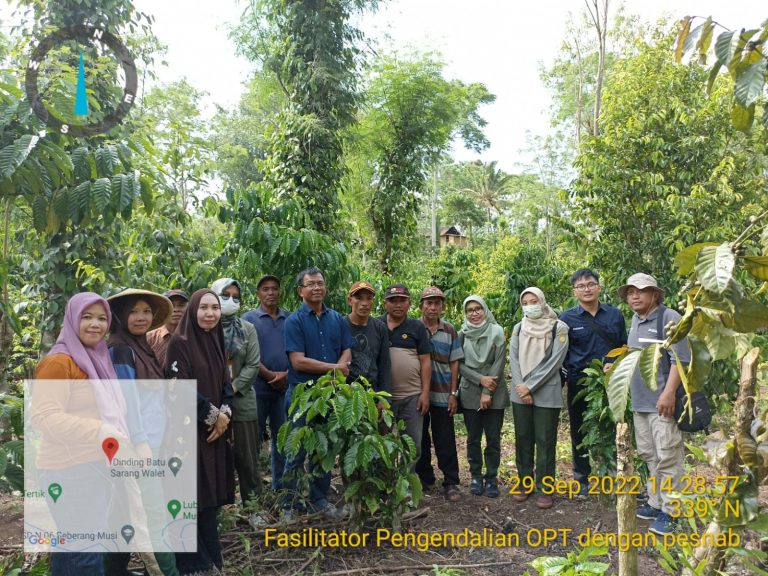 Kementerian Pertanian Direktorat Jenderal Perkebunan » kopi