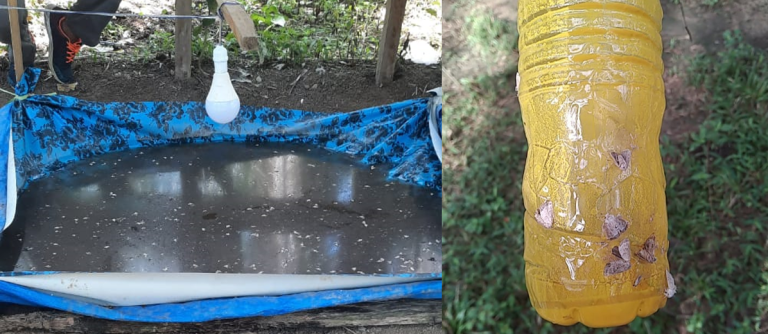 Kementerian Pertanian Direktorat Jenderal Perkebunan » Gerakan ...